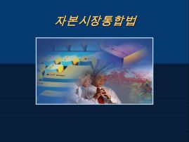 자본시장의 통합방법-1페이지