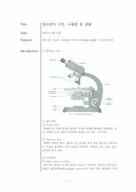 일반생물학실험-현미경의 구조, 사용법 및 관찰-1페이지