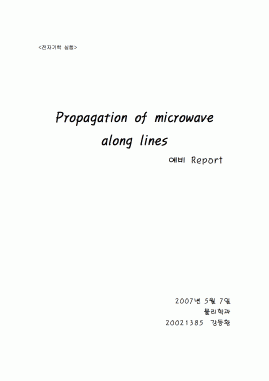 Propagation of microwave along lines-1페이지
