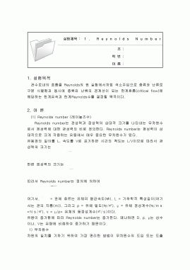 화학공학실험_레이놀즈 수_A+ report-1페이지