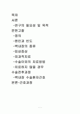 백내장 수술환자 간호-1페이지