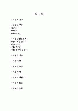 피부에대하여-1페이지