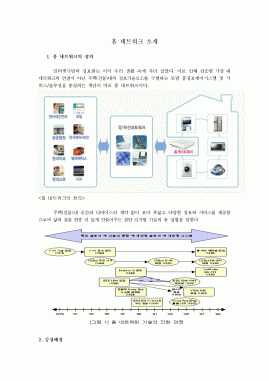 홈 네트워크 연구-1페이지