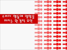 소비자 행동에 영향을 미치는 환경적 요인-1페이지