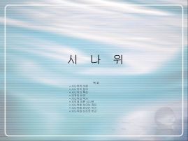 시나위의 정의-1페이지