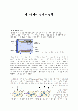 전자렌지의 전자파 영향-1페이지