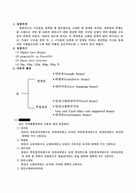 [토목환경공학과] 구조실험(전단력)-1페이지