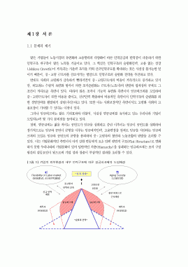 우리나라 기업의 임금피크제 도입 평가와 노사관계상 합리적인 적용방안 검토-1페이지