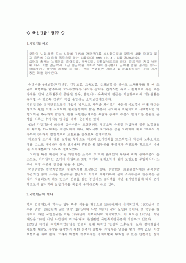 국민연금 조사 보고서-1페이지