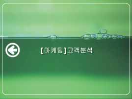 [마케팅] 고객분석 PPT-1페이지