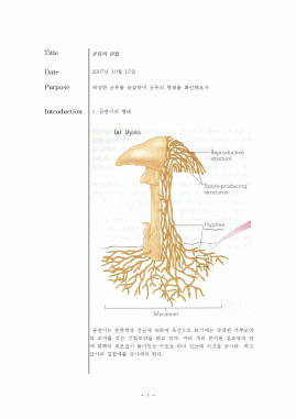 진균류의 관찰-1페이지