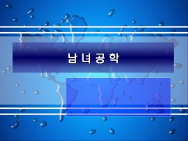 남녀공학 발표자료-1페이지