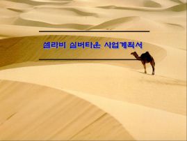 [벤처창업론]고령화시대의 유망사업 실버타운 사업계획서-1페이지