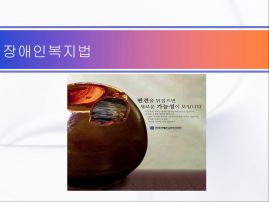 장애인복지법 개요-1페이지