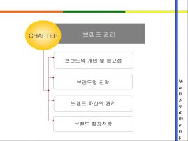 브랜드관리에 관하여 모든것-1페이지