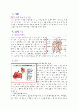 결장암의 증상과 원인 및 진단과 치료 예방-1페이지