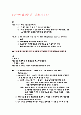 <<산후(질강분만) 간호과정>>-1페이지