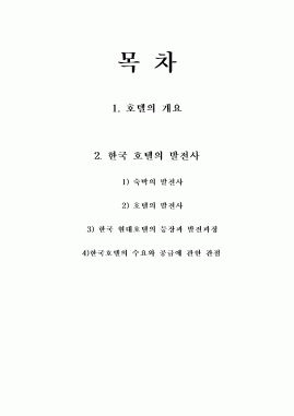 우리나라 호텔산업의 발전과정-1페이지