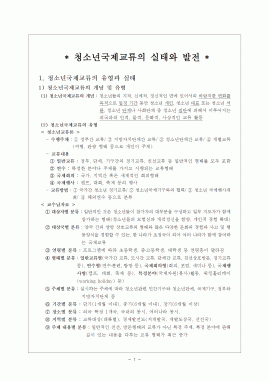 국제 청소년교류의 실태와 발전-1페이지