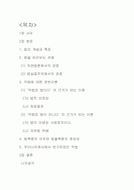 악법도 법인가-악법에 대한 고찰 -1페이지