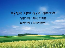 유통전략 부문의 성공과 실패사례 (미샤, 이마트, 까르푸 사례분석)-1페이지