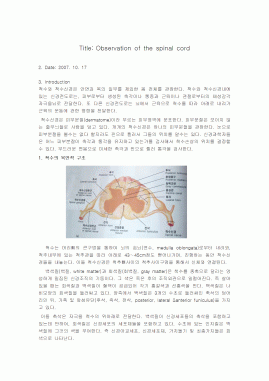 척수조직의 관찰-1페이지