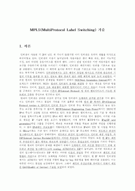 MPLS(MultiProtocol Label Switching) 기술-1페이지