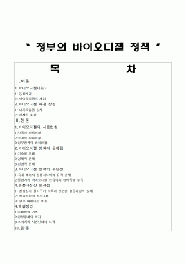 정부의 바이오디젤 정책-1페이지