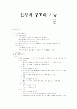 [자연과학] 신경계 구조와 기능 -1페이지