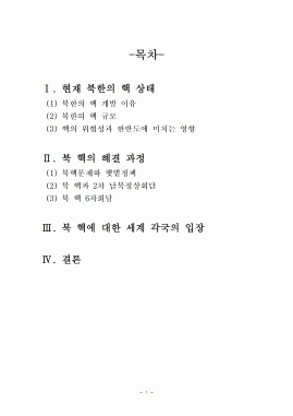 북핵의 상태, 해결과정, 각국의 입장, 대처방안-1페이지