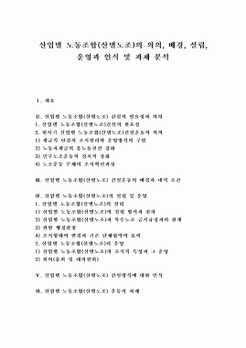 산업별 노동조합(산별노조) 건설 의의, 산업별 노동조합(산별노조) 건설운동 배경, 산업별 노동조합(산별노조) 설립,운영, 산업별 노동조합(산별노조) 건설방식, 산업별 노동조합(산별노조) 운동의 과제 분석-1페이지