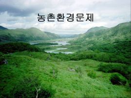 [사회과학] 농촌의 환경오염문제에 대해서-1페이지