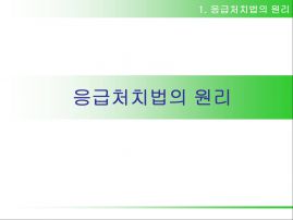 응급처치의 원리-1페이지