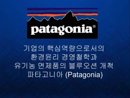 파타고니아 Patagonia - 유기농 면제품의 블루오션 개척과 기업의 핵심역량으로서의 환경철학 -1페이지