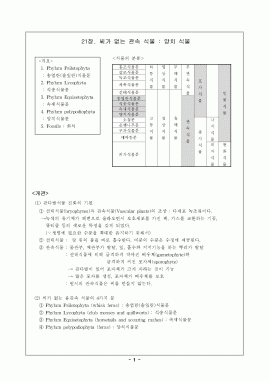 양치식물 - 조사, 정리 자료-1페이지