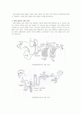 단위 동물과 반추 동물의 차이-1페이지