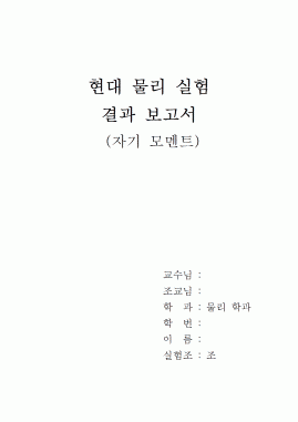 자기모멘트 결과보고서-1페이지