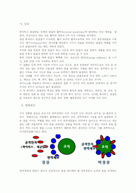 [분석/조사] 류마티스 관절염 -1페이지