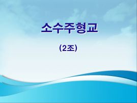 소수주형교-1페이지