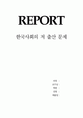 한국사회의 저출산 문제-1페이지