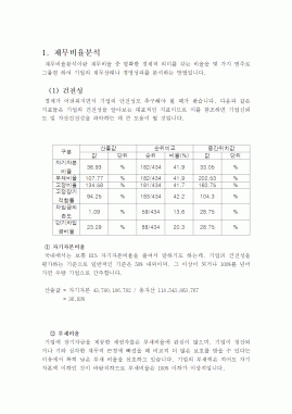 재무비율 분석-1페이지