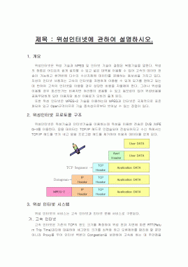 [2007년11월]위성인터넷에 관한 보고서-1페이지