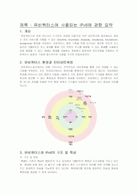 [2007년11월]유비쿼터스에 사용되어지는 IPv6에 관한 보고서-1페이지