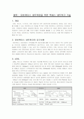 [2007년11월]유비쿼터스엑세스네트워킹에 관한 보고서-1페이지