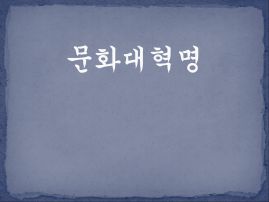 문화대혁명의 영향-1페이지