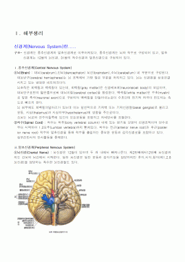 신경계 건강사정-1페이지