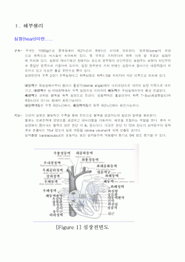 심혈관계 건강사정-1페이지