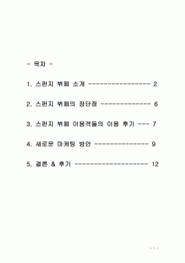 해운대 스펀지 마케팅전략-1페이지