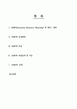 ERP전사적자원관리 시스템에 대하여-1페이지