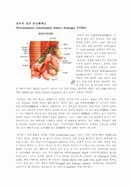 PTBD(경피적 경관 담즙배액술), ERCP(내시경적 역행성 췌관·담관조영술), TACE(간동맥 화학 색전술)-1페이지